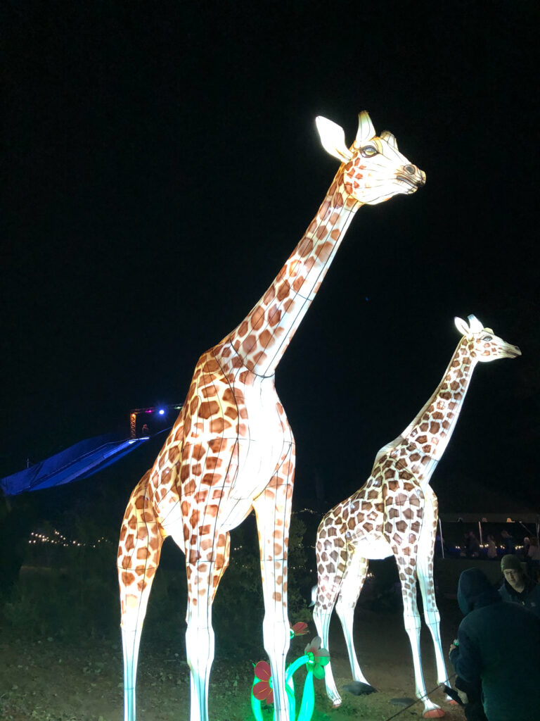 10 family friendly festive fun things to do in phoenix - the love ...